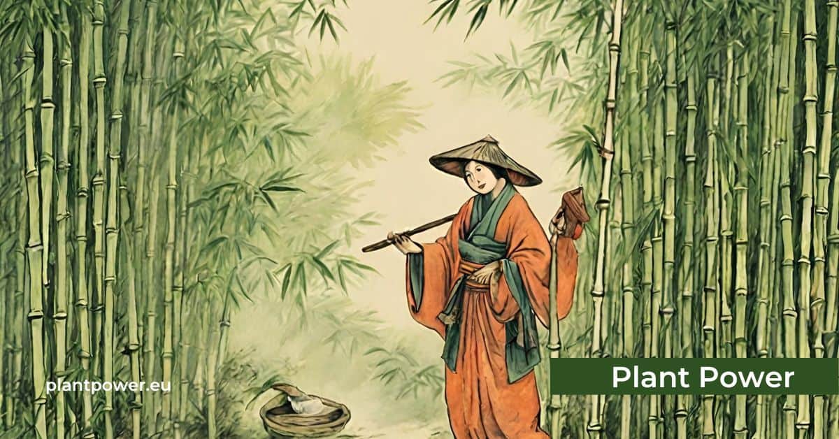 Bamboo in Folklore: Delving into Ancient Tales and Traditions ...